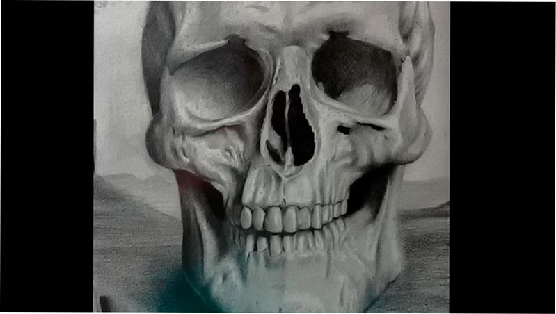 Come disegnare un teschio realistico a matita passo dopo passo ~>TOP ...